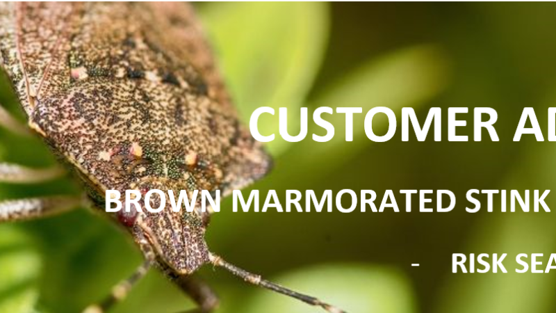 物流解决方案 | 全球及第三方物流 | 澳大利亚亚飞公司