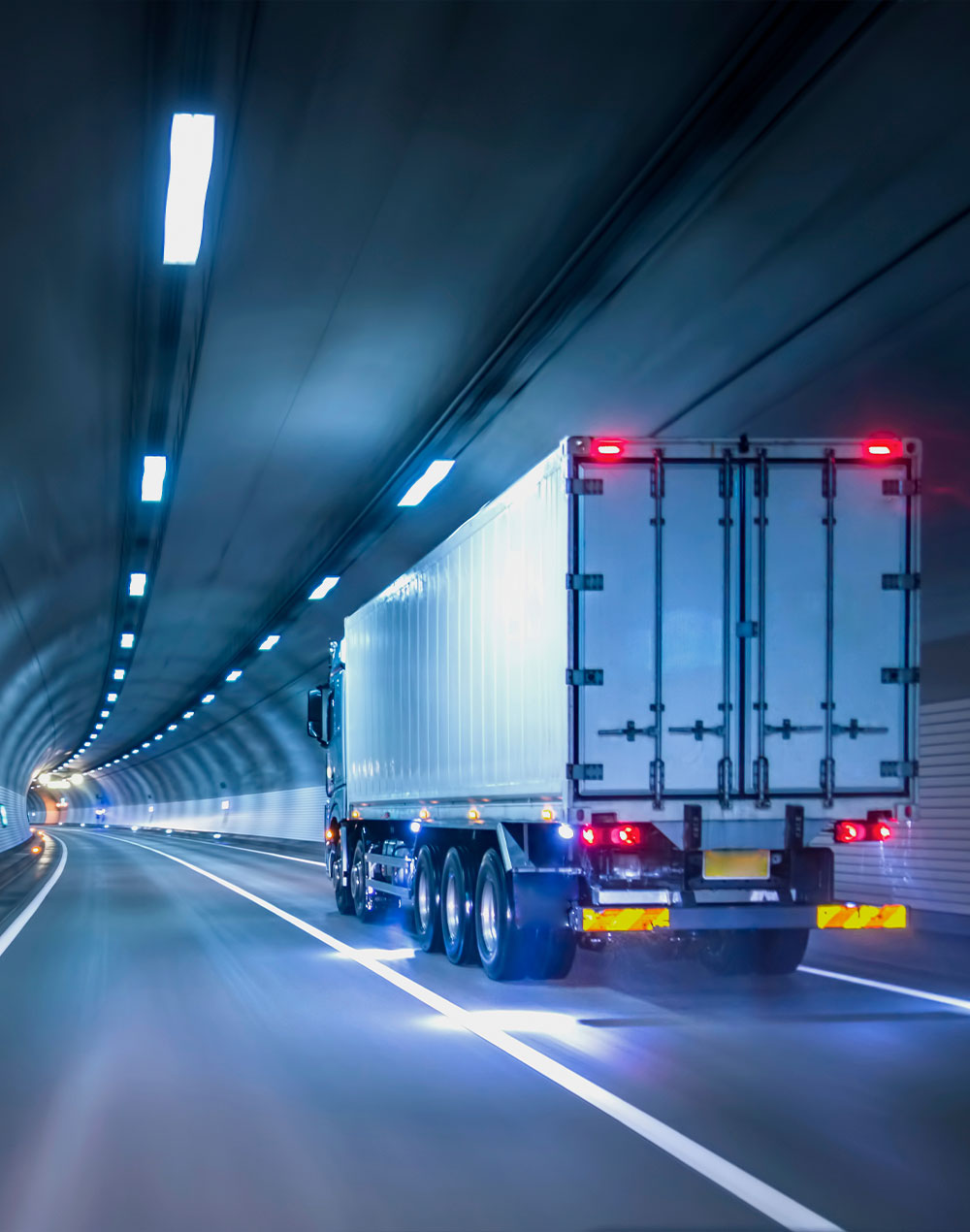 Land Freight Forwarding | Customs Clearance Consultancy | Avion